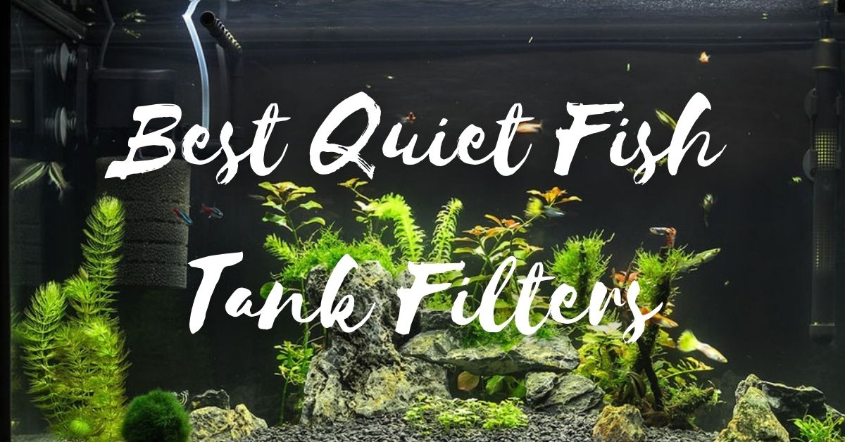 10 Best Quiet Fish Tank Filters for Home Aquariums in 2023 - Home Gears Lab